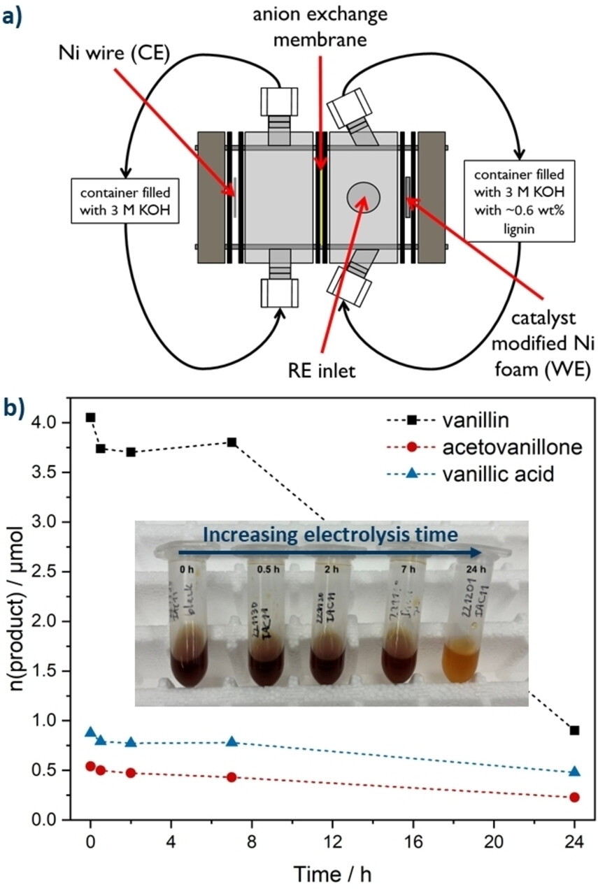 Articles and Insights - xemx
